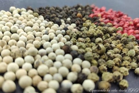 Pimienta【 Origen, Propiedades, Tipos Y Beneficios
